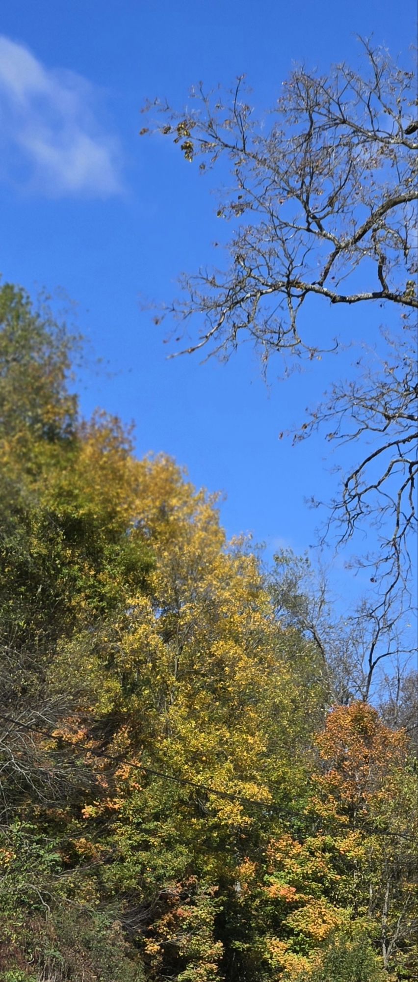 {Day 20} 31 Days of Autumn in Ohio – OgleOhio