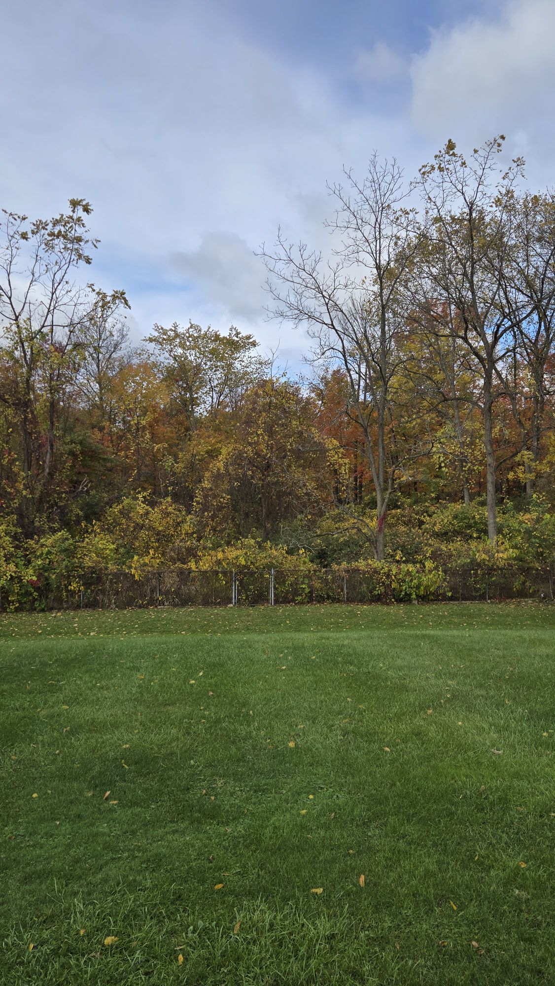 {Day 27} 31 Days of Autumn in Ohio – It’s Beginning To Look Like Autumn ...